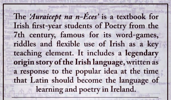 The Bardic Schools and Auraicept na n-Éces - LetsLearnIrish.com