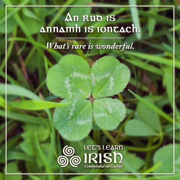 10 Irish Verbs in the Future Tense - LetsLearnIrish.com