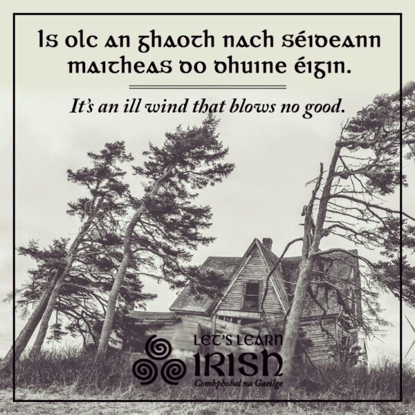 What Makes a Great 'Seanfhocal'? - LetsLearnIrish.com