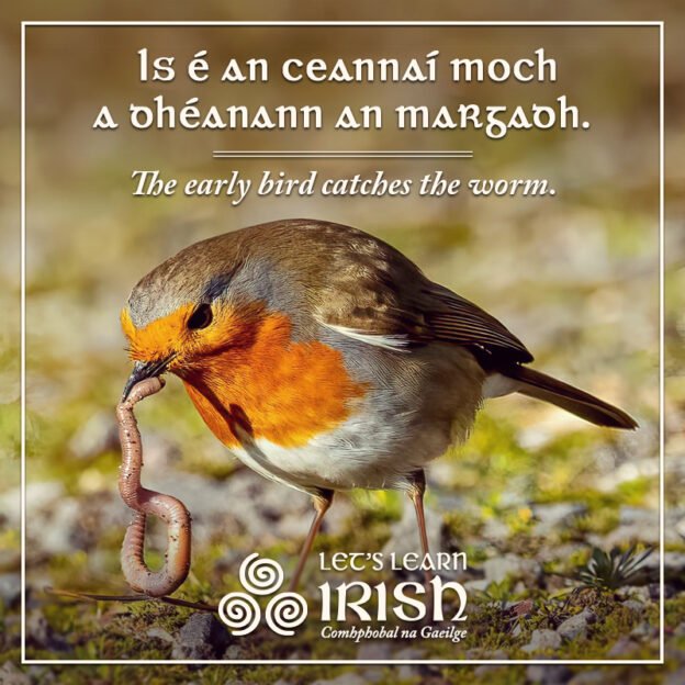 What Makes a Great 'Seanfhocal'? - LetsLearnIrish.com