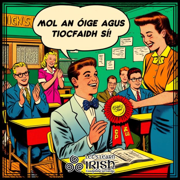 55 Irish 'Seanfhocail' (Proverbs) and How To Say Them - LetsLearnIrish.com
