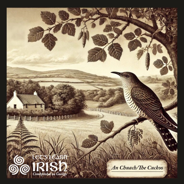 A Brief Guide to Irish Dialects - LetsLearnIrish.com