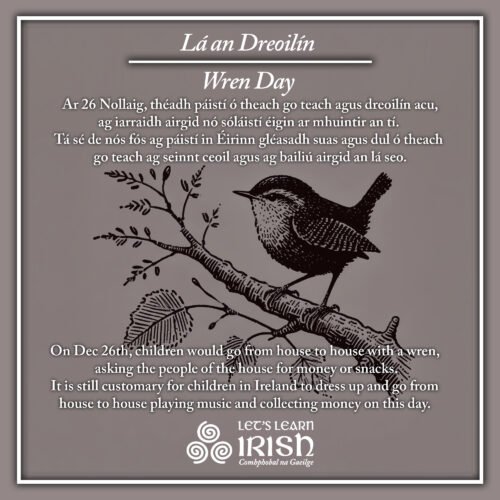 Wren Day Customs - LetsLearnIrish.com