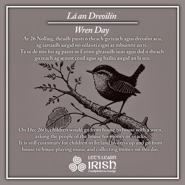 Wren Day Customs - LetsLearnIrish.com