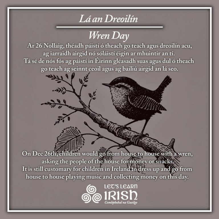 Wren Day Customs - LetsLearnIrish.com