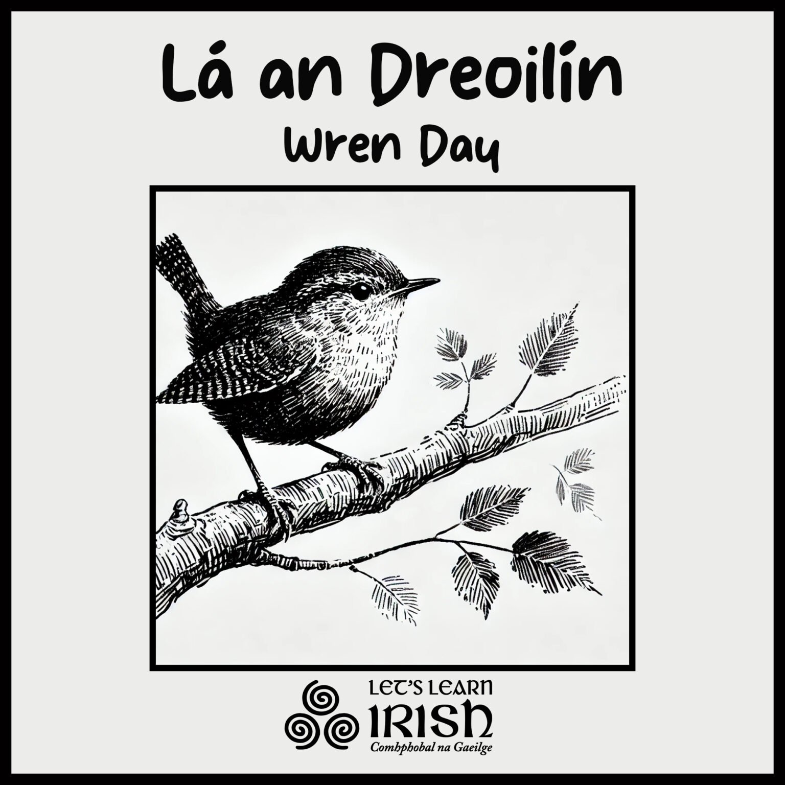 A Brief Guide to Irish Dialects - LetsLearnIrish.com