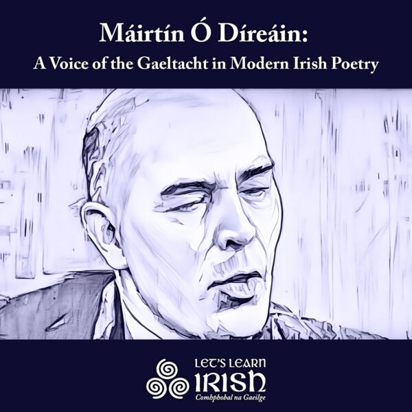 10 Irish Verbs in the Future Tense - LetsLearnIrish.com
