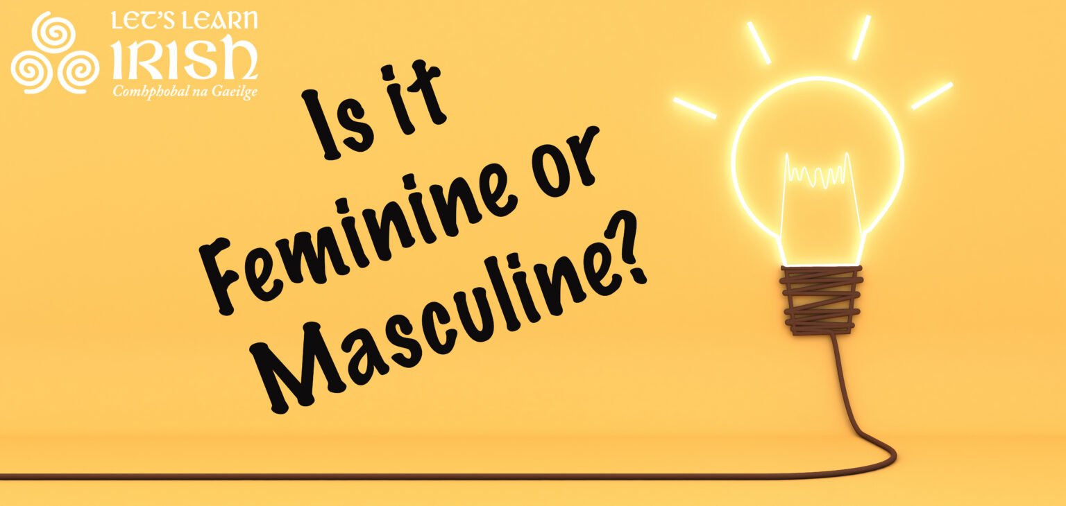 Figuring out the Gender of Irish nouns – Endings and Consonants ...