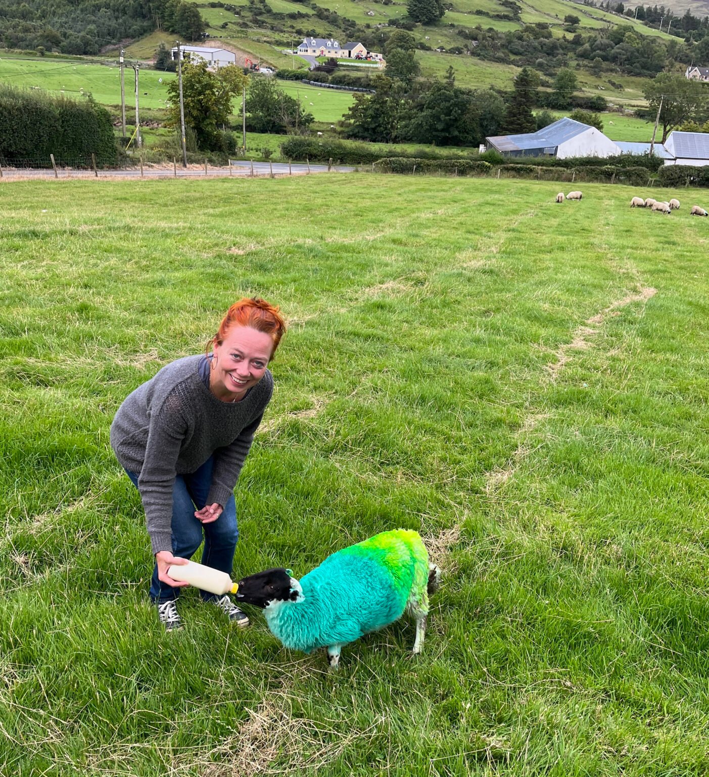 Turas Gaeilge: Finding Irish Through Community and Connection ...